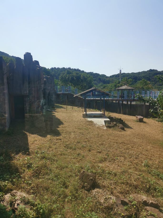 Take you to see the Wuxi Zoo in one minute - iNEWS