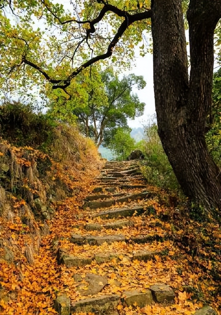 Twenty ancient poems by Li Zhong, a poet of the Five Dynasties, the ...