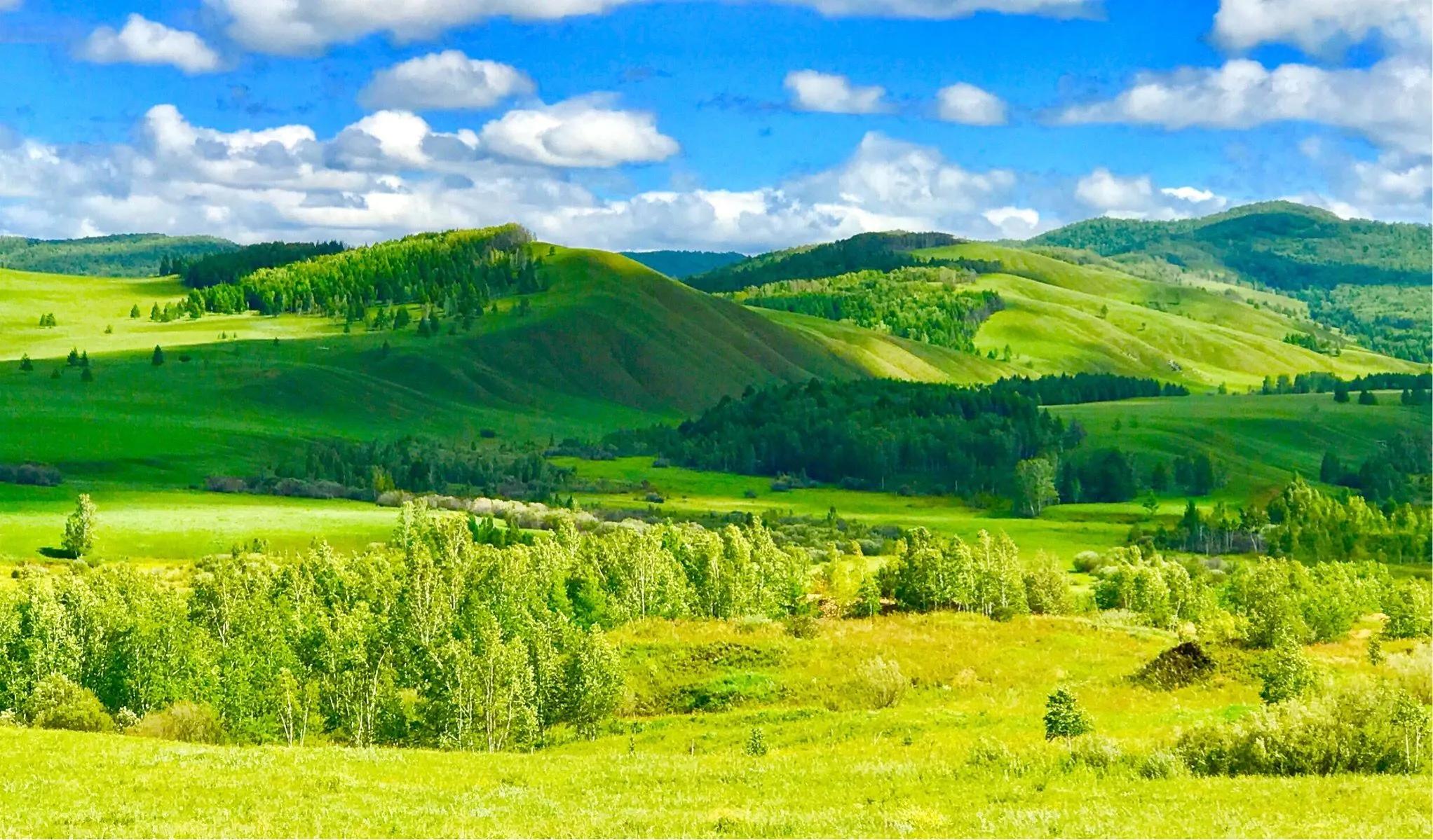 Spring in the grasslands of Inner Mongolia - iNEWS