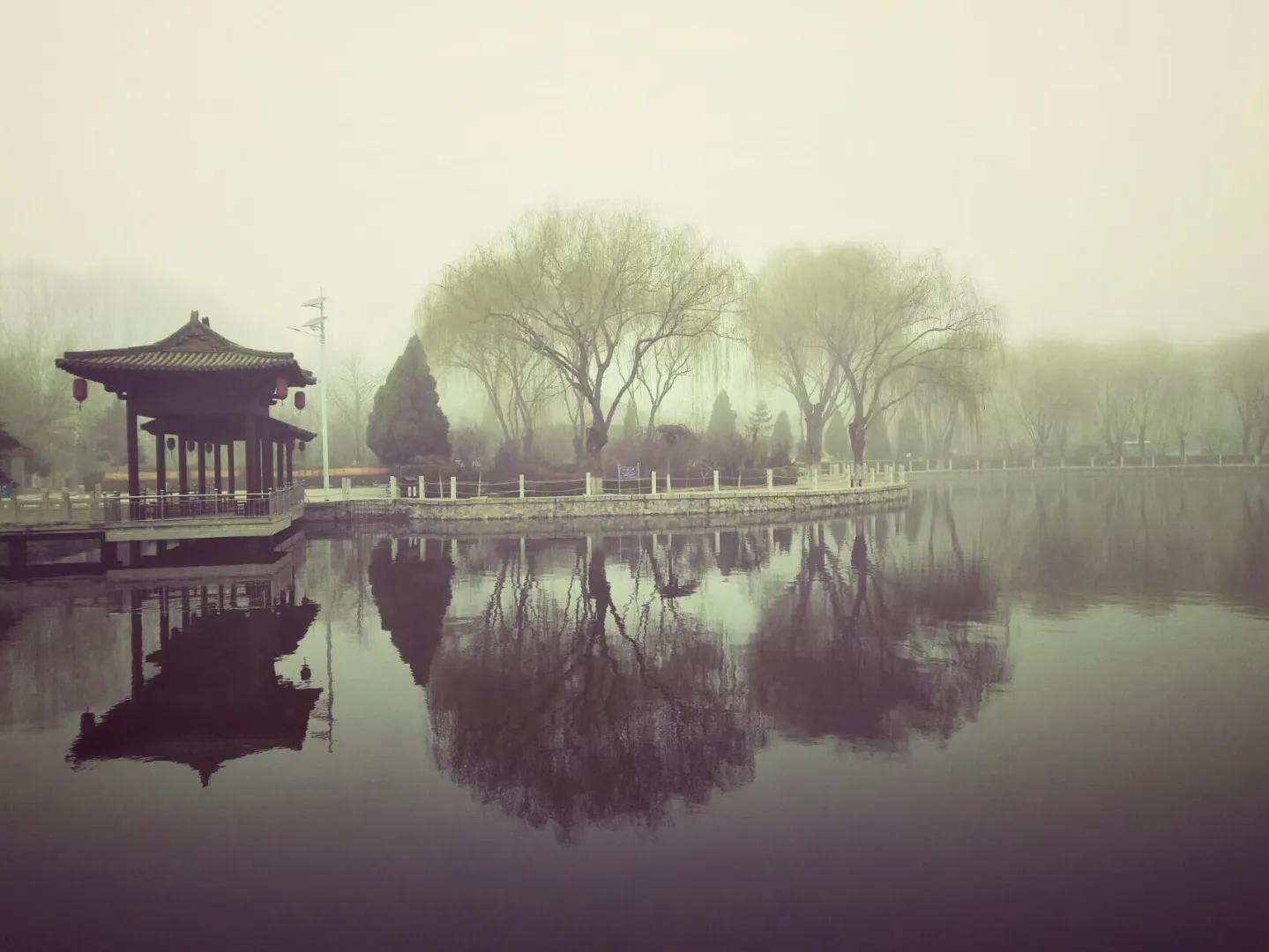 Reading Jinzhou (19) a sentence with Wei Zhengxue to calm Wang Bodang ...