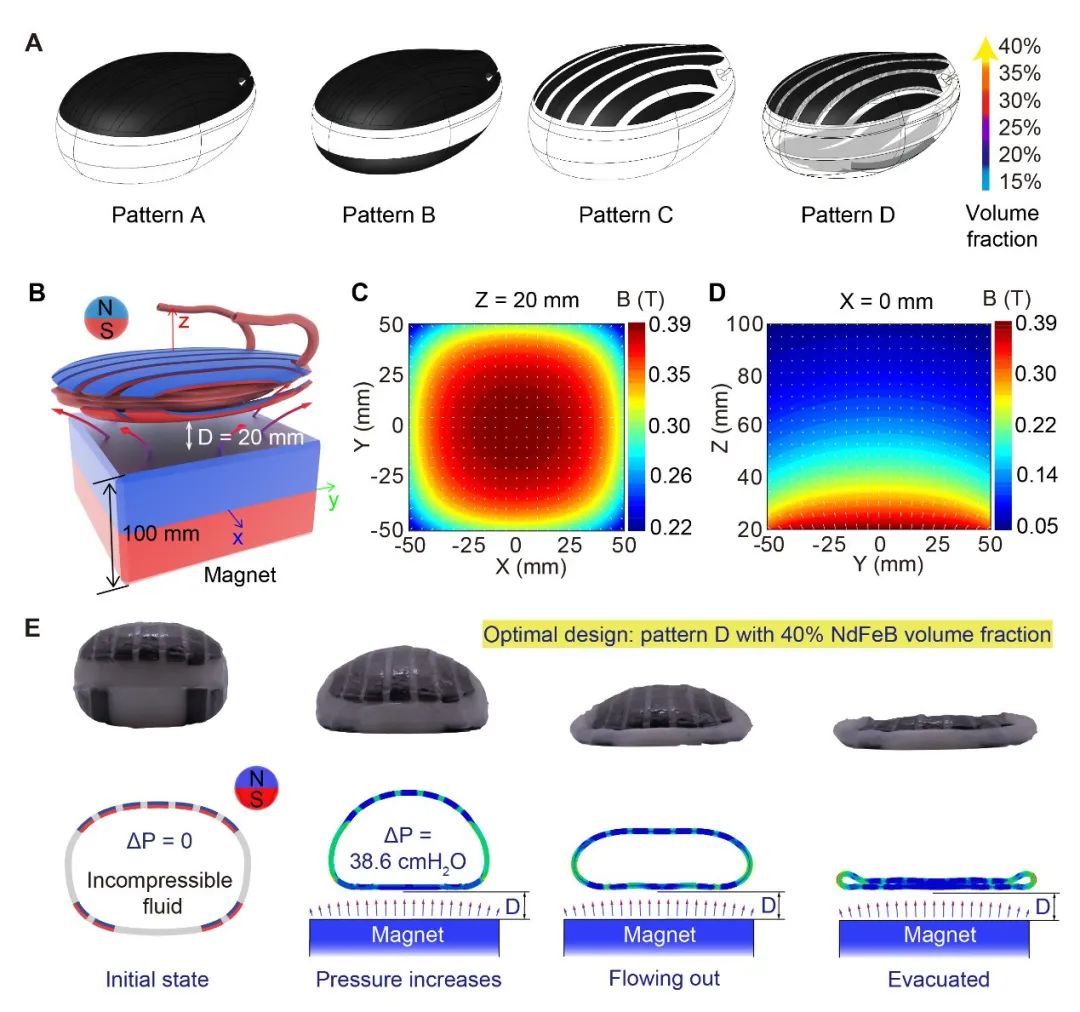 Science Advances: Implantable magnetically controlled soft robot ...