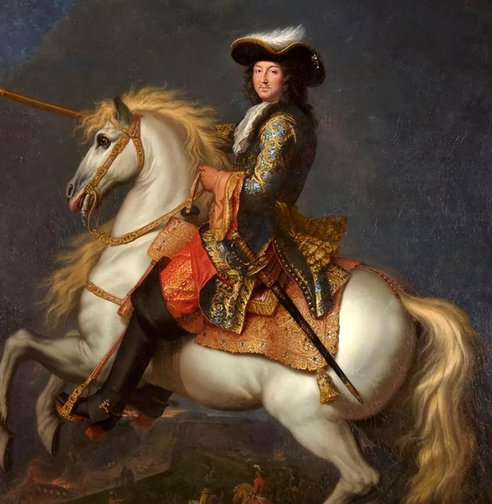 After Louis XIV ascended the throne, what kind of contribution did he ...