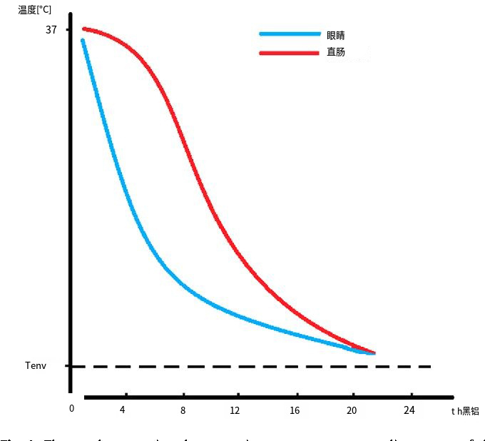 Why is burial worse than cremation?What happened one month after the ...