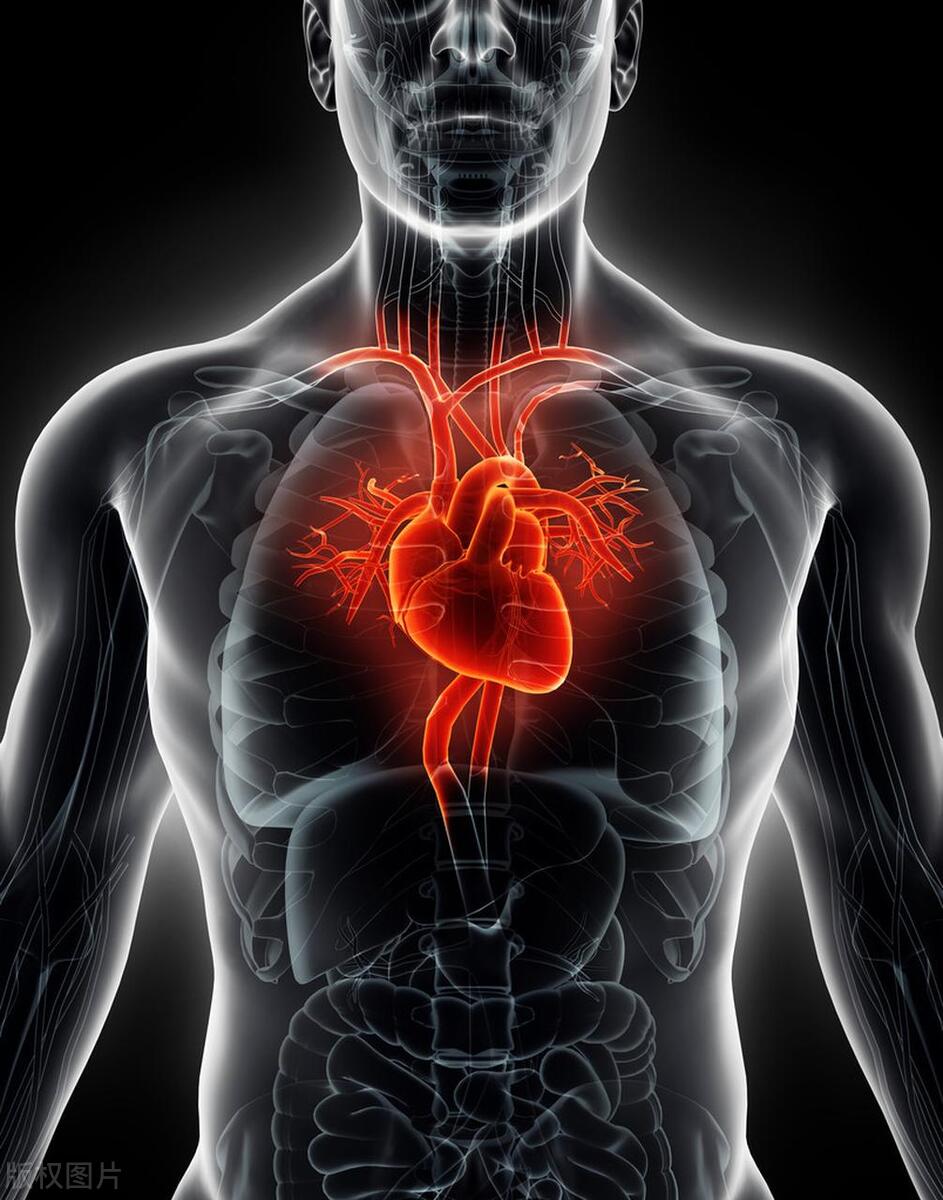 Giving Humans the Miracle of Regeneration: Exploring the Unsolved ...