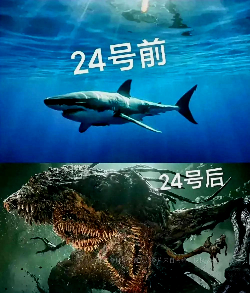 Is the United States afraid? 32 dolphins were stranded and millions of ...