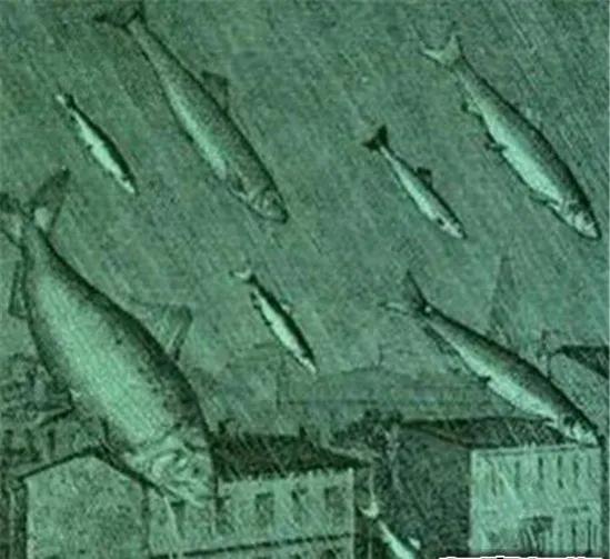 What is the phenomenon of falling fish from the sky (there was a ...