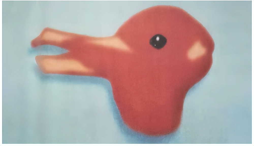 Is it a duck or a rabbit?Let me take another look... - iNEWS