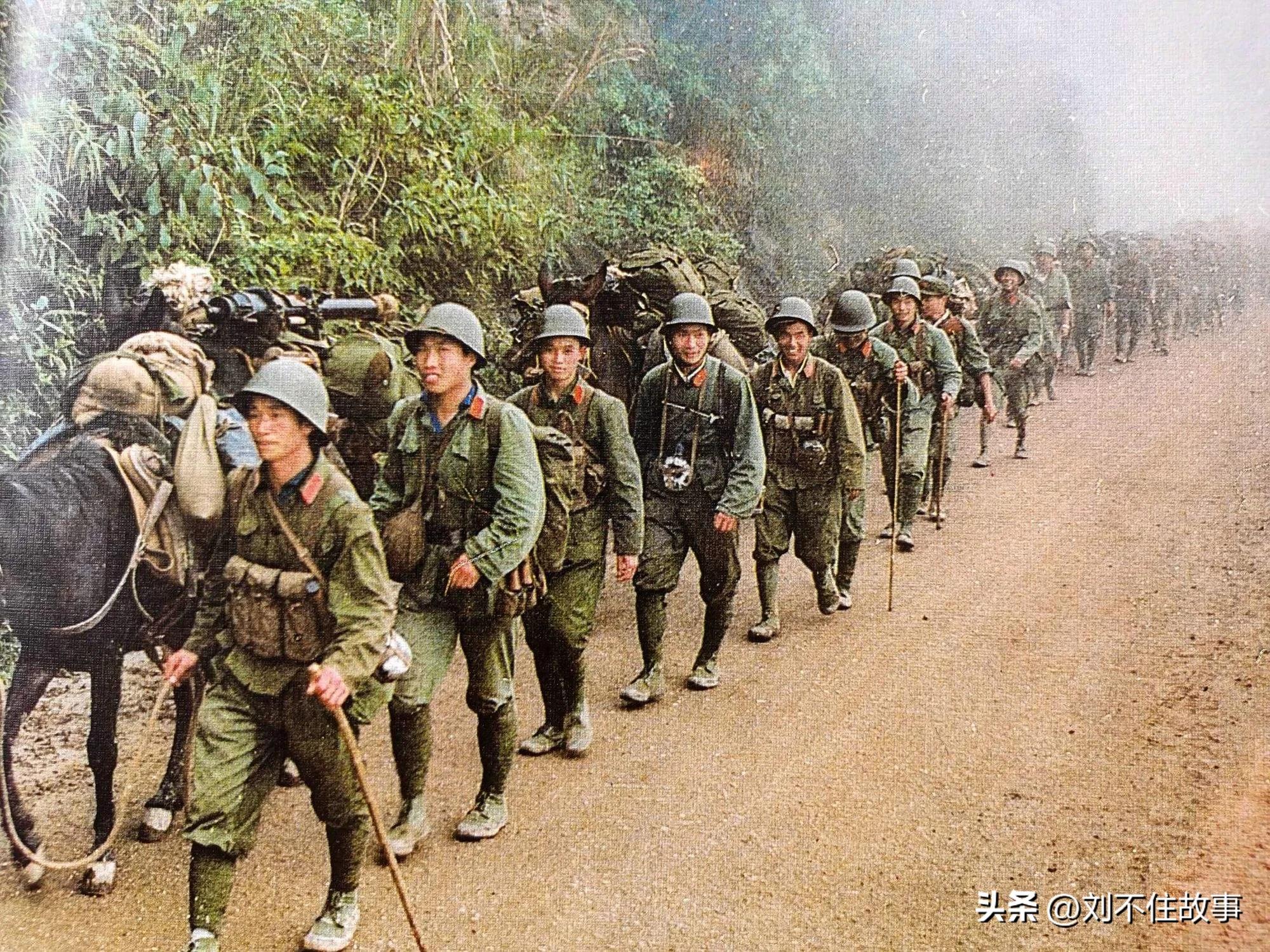 Aid of 20 billion in exchange for the white-eyed wolf in Vietnam, the ...