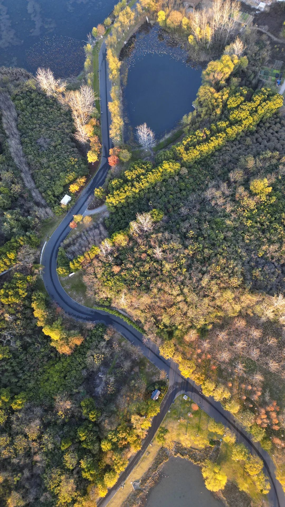 Wang Weihua: Watching the Sea at Wuhan East Lake - iNEWS