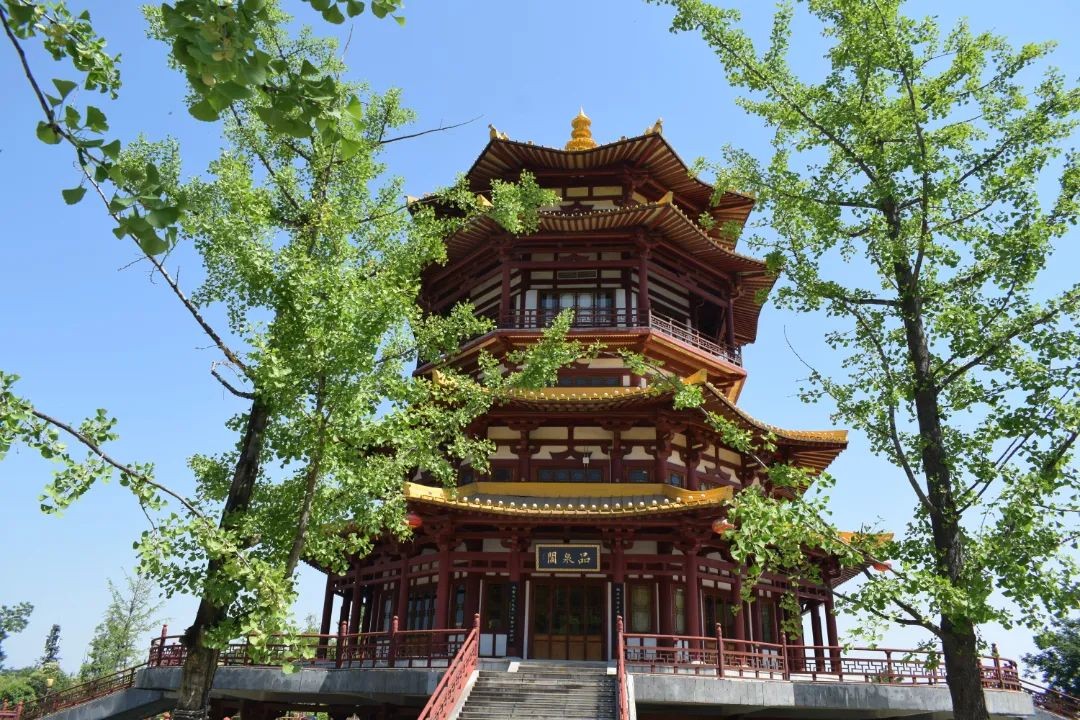 When you are bored, why don't you come here to drink tea and enjoy the ...