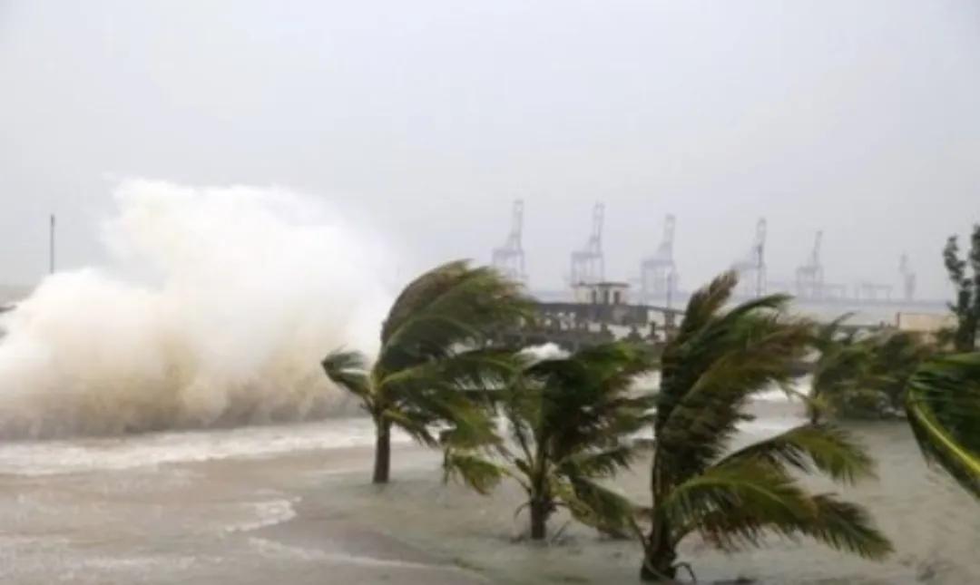 Why are typhoons more frequent in the Pacific Northwest? - iNEWS