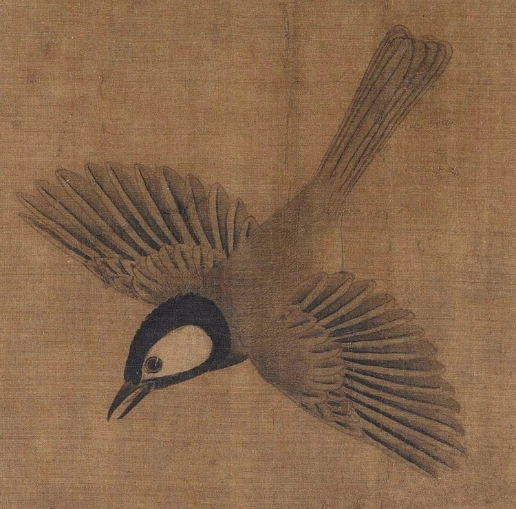 The Five Dynasties Huang Quan's "Sketch of Rare Birds": The beard and ...