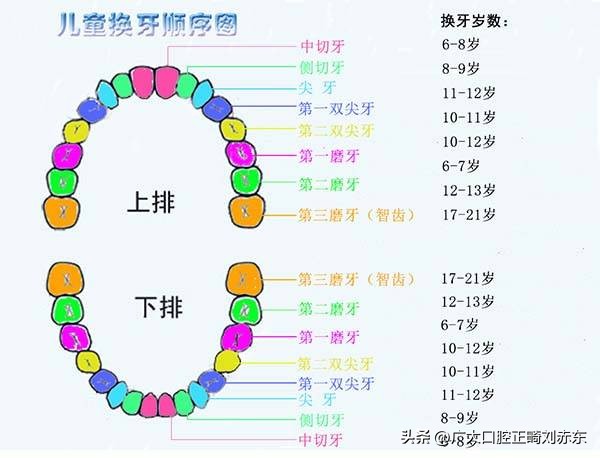 Children's "six-year-old teeth" will accompany them all their lives, so ...