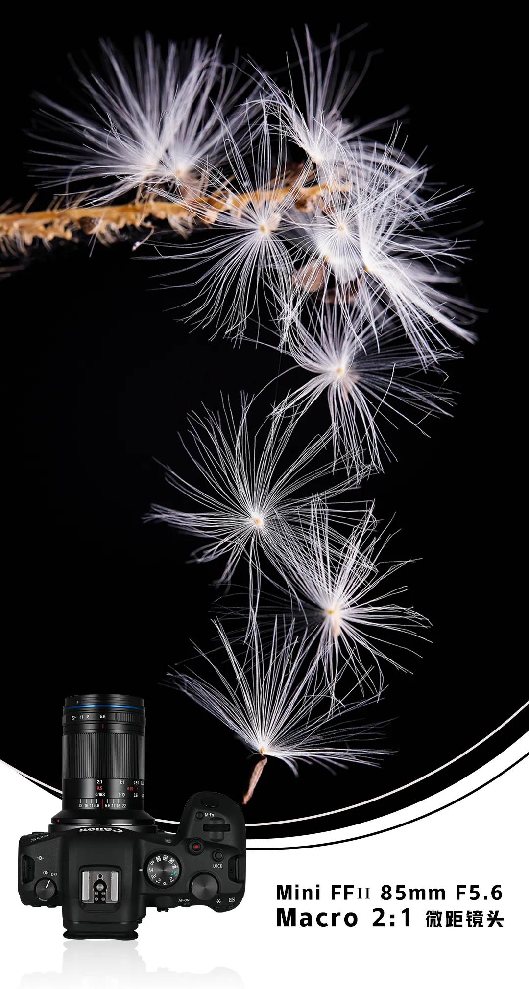 It meets the needs of our outdoor macro photography enthusiasts - Mini ...