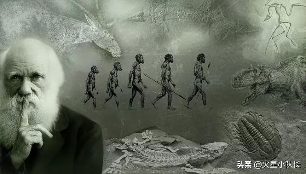 The Soviet Union carried out a "human-ape hybridization" experiment ...