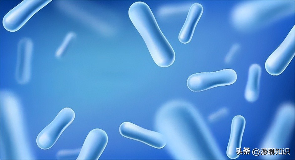 What are the competitive binding sites of probiotics and pathogenic ...