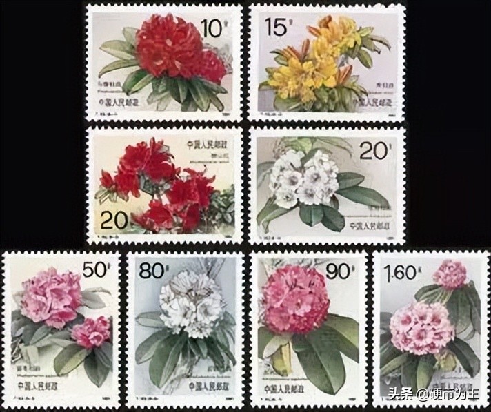 Top Ten Flowers on New China Stamps (Part 2) - iMedia