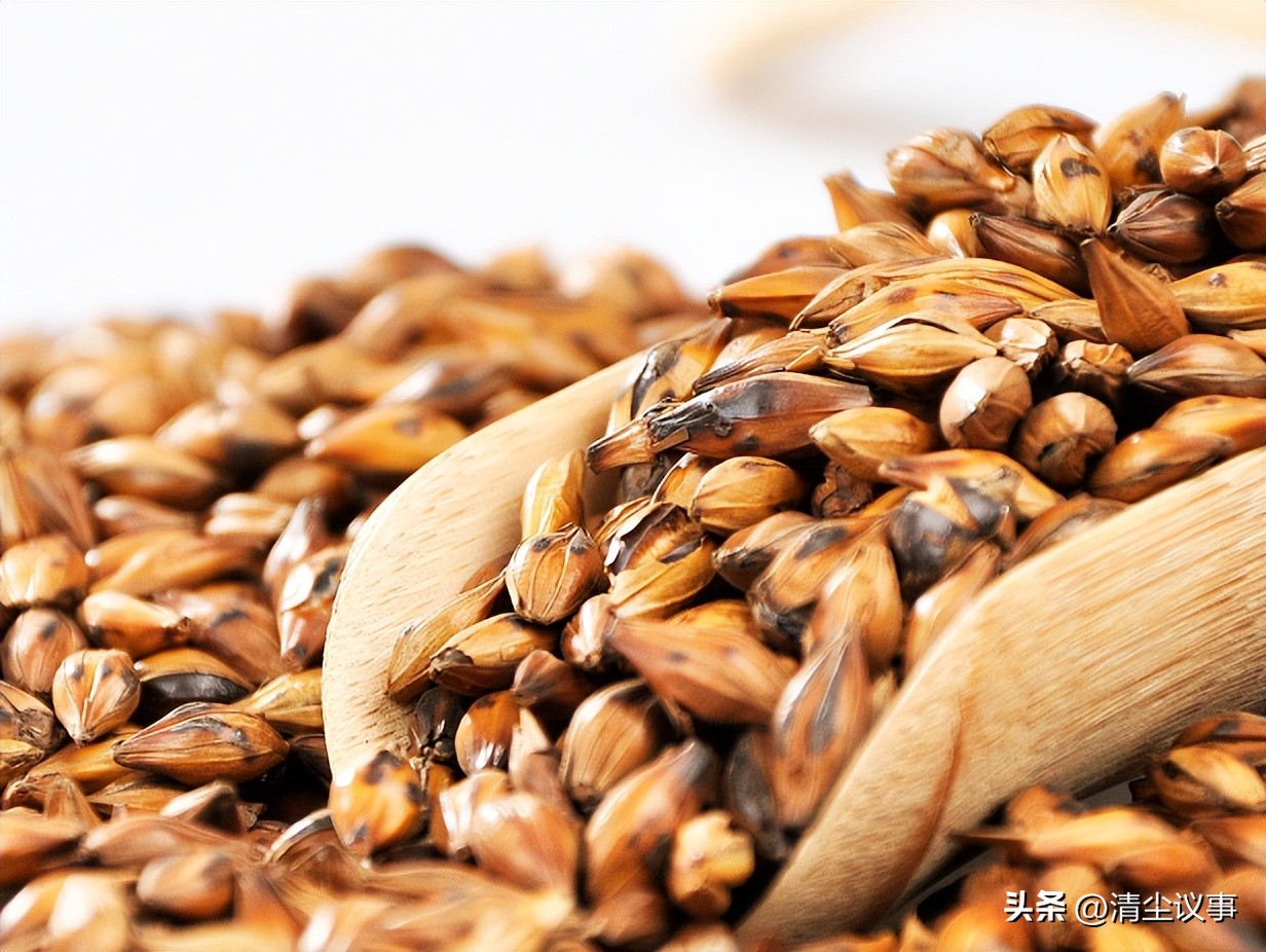 Barley Tea: Discovering the Charm and Benefits of the Ancient Drink - iNEWS