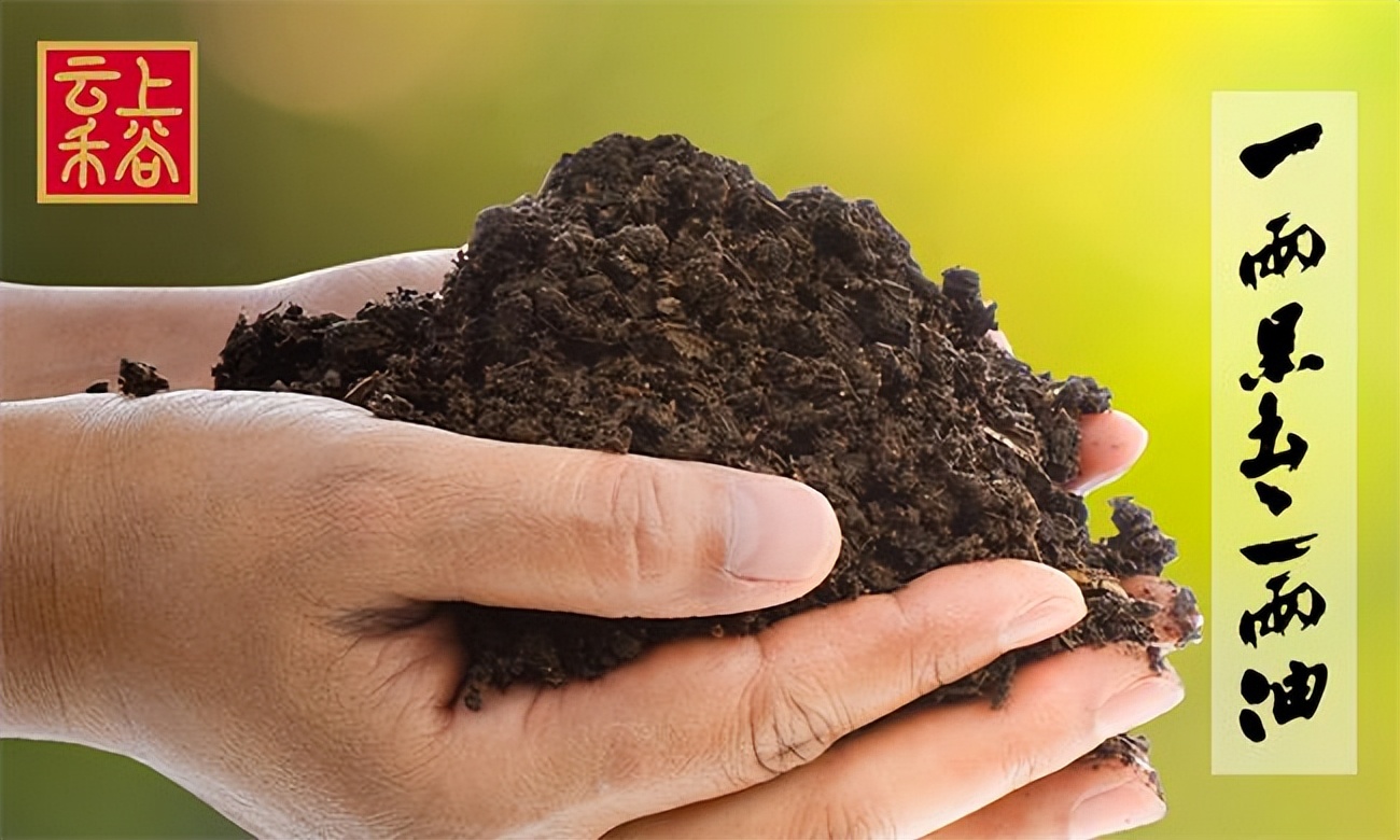 Yunshang Hegu: What are the unique advantages of the authentic Wuchang ...