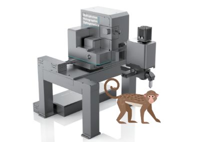 ZEISS launches DeepVision, a tissue depth imaging tool with Mikro - iMedia