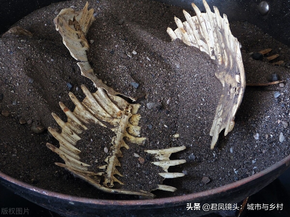 Chinese herbal medicine processing: vinegar turtle shell - iNEWS