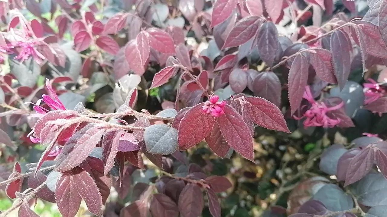 Appreciation of 10 ancient poems - iNEWS