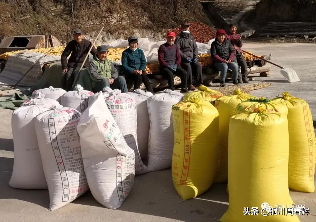 The Joy of Harvest [Photo by Tongchuan Li Xueping] - iNEWS