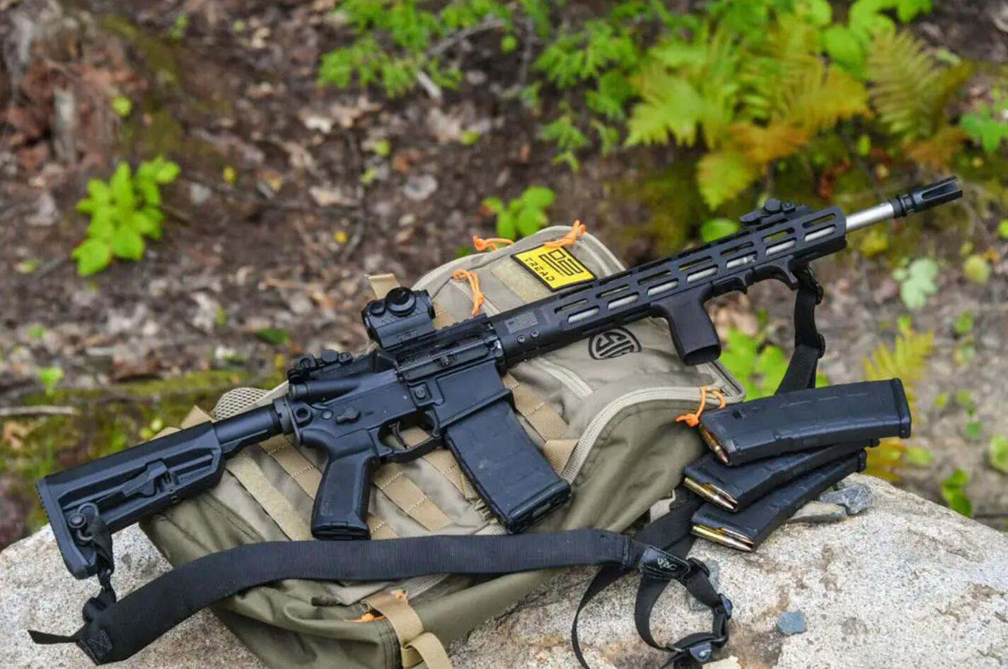 The 36 "most beautiful" assault rifles in the world are in line with ...