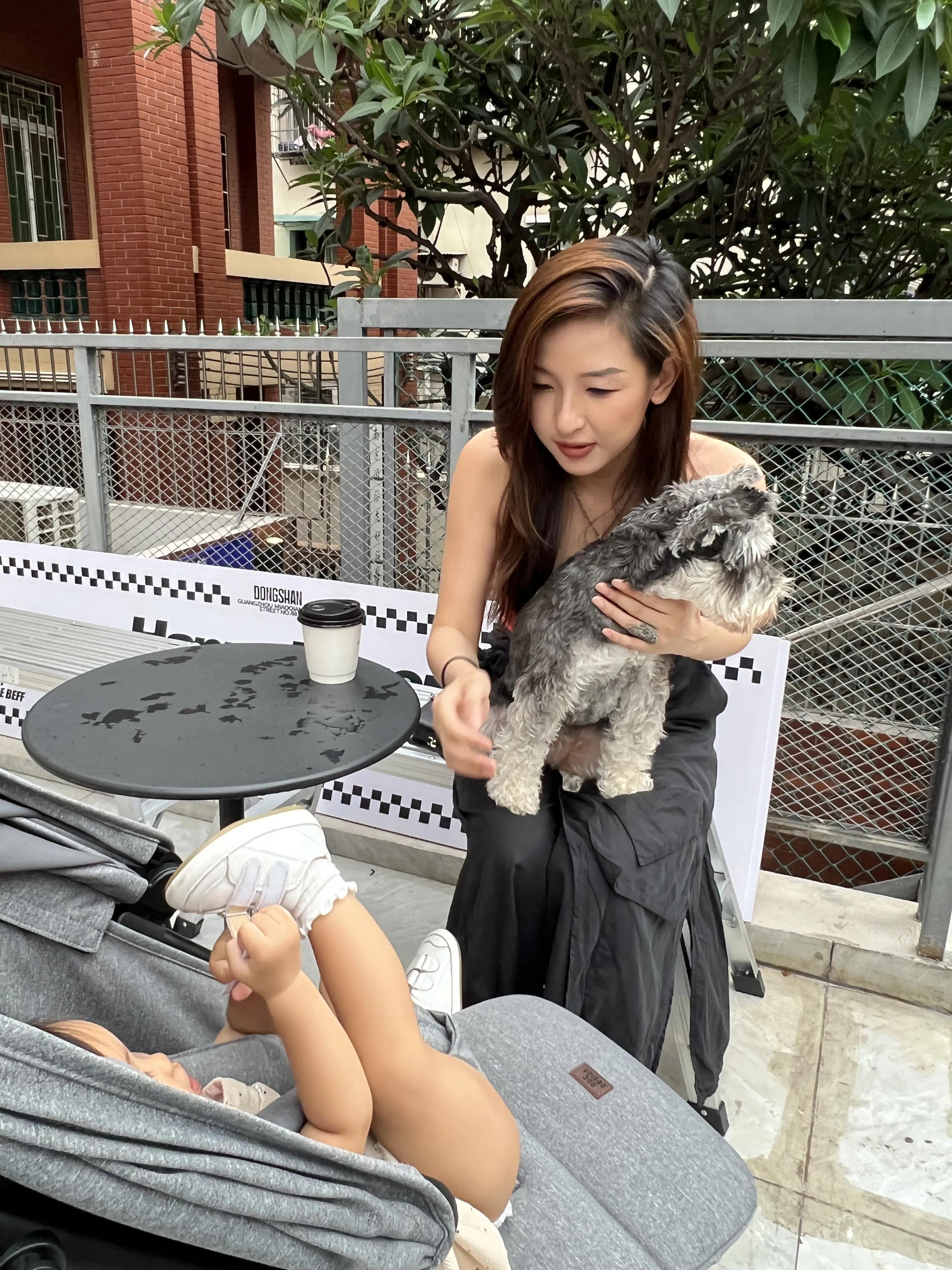 ABC Design AVUS - iNEWS