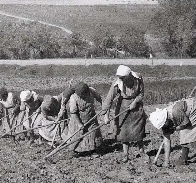 The Stolypin Reforms, the last revival of the Russian Empire - iNEWS