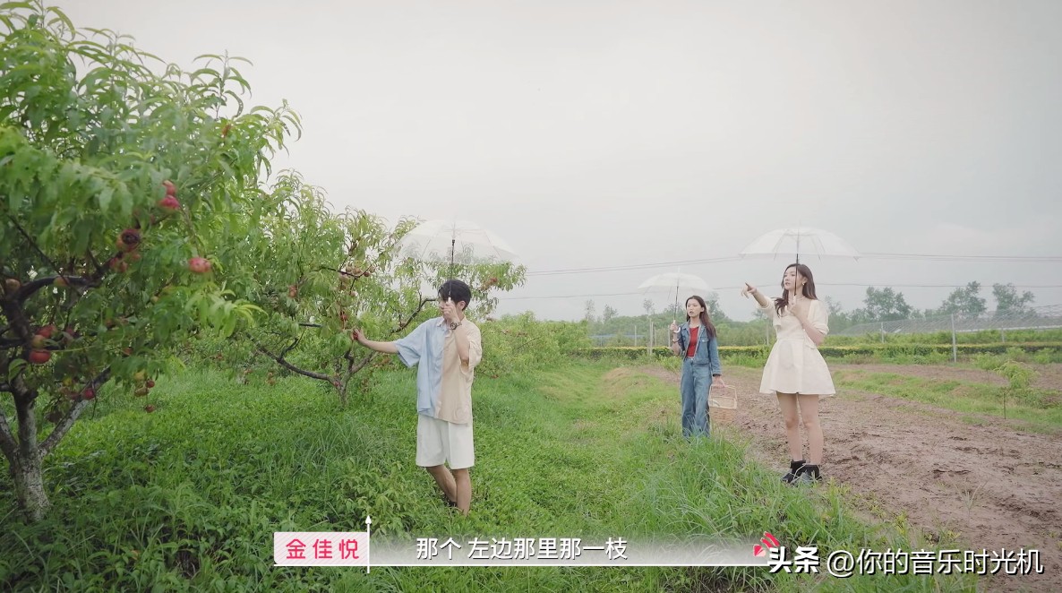 Heartbeat 5: Jin Jiayue's sense of proportion makes Guo Haoran in a dilemma, and Li Chengxuan's ...