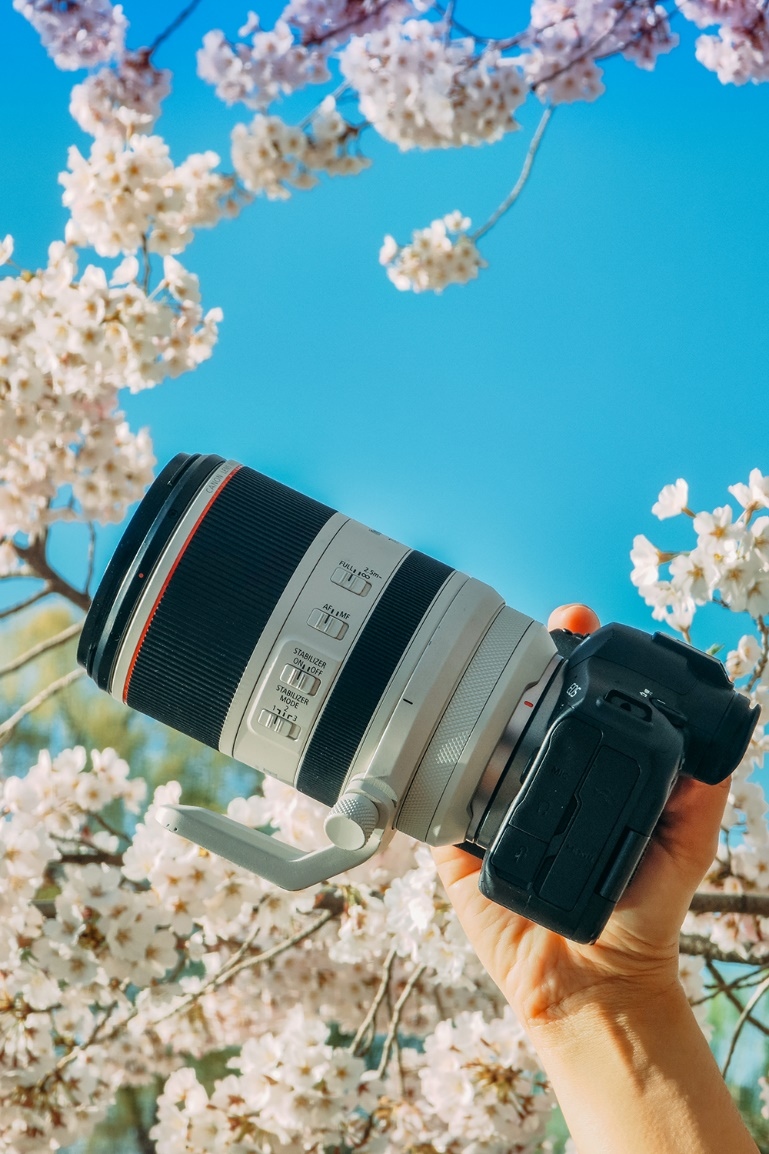 Travel photography is not a problem at all. Take the EOS R6 Mark II to ...