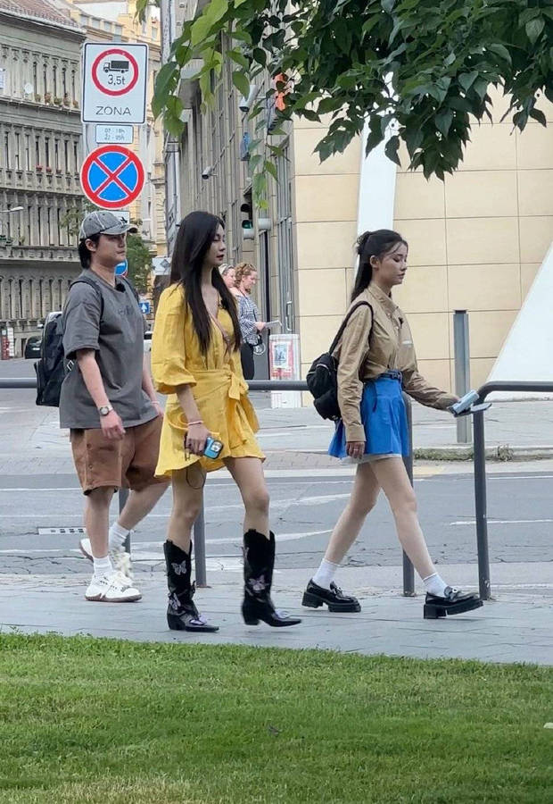 "Chinese Restaurant" Reuters exposed Huang Xiaoming and Lin allowing ...