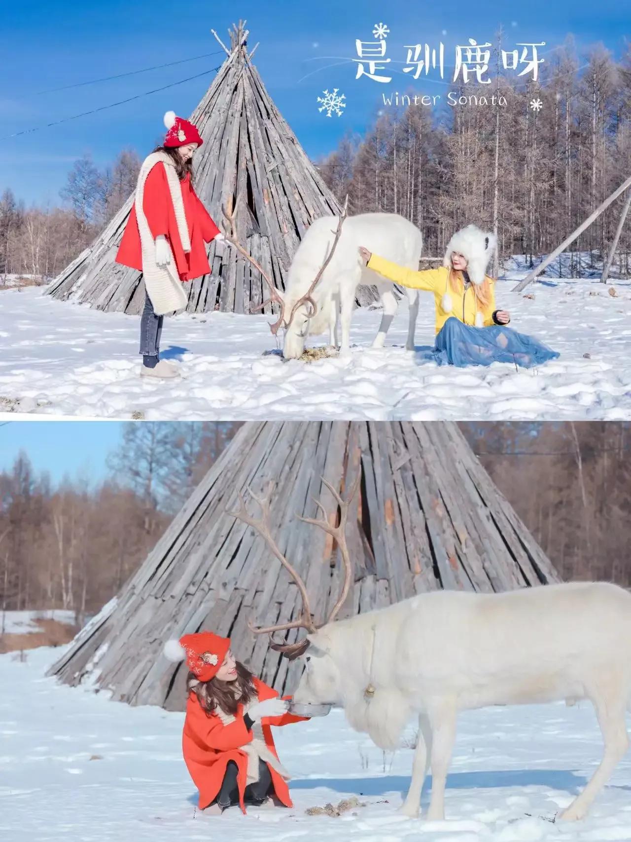 This winter? Let's go to Mohe to watch the aurora - iNEWS