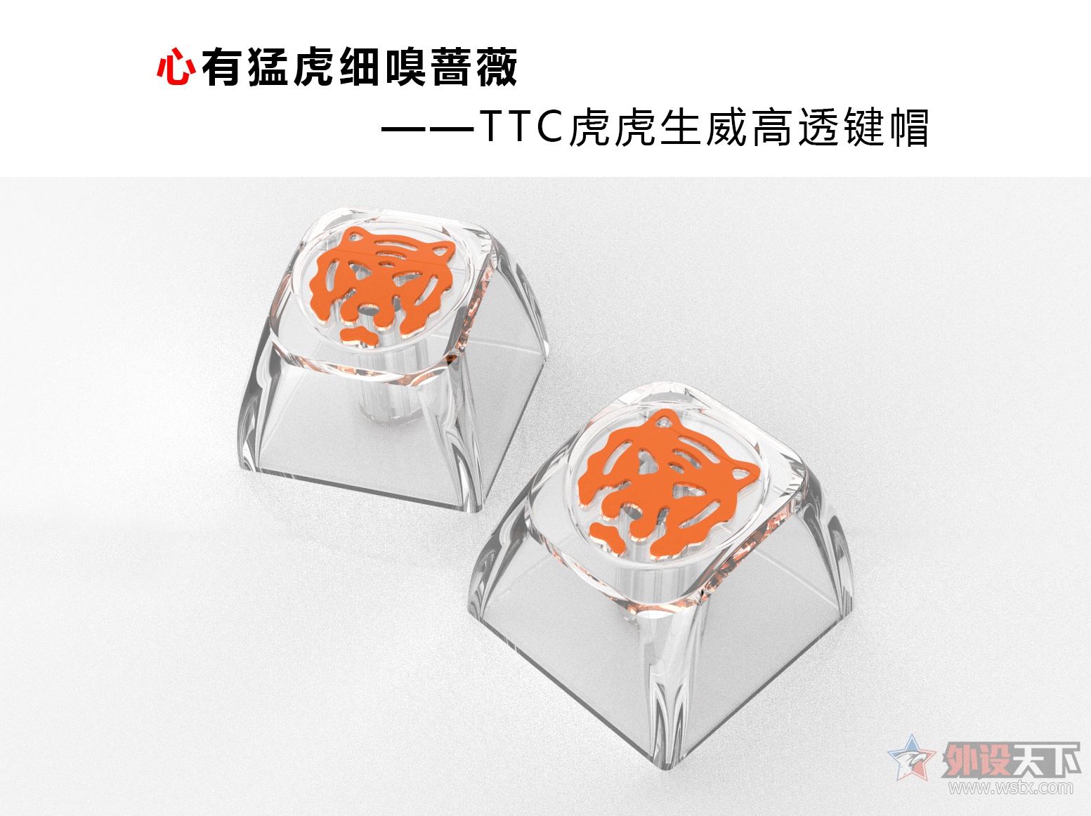 Beautiful, durable and more transparent, TTC released personalized ...