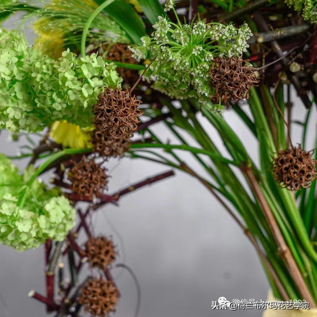 How to create a dynamic sense of floral lines - iNEWS