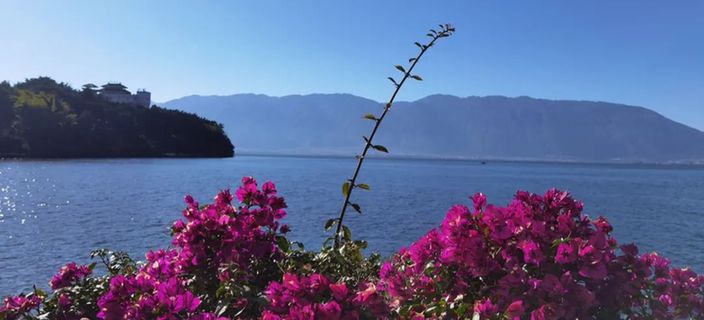 Shooting all over the world, Wang Guoping creates a short video of the ...