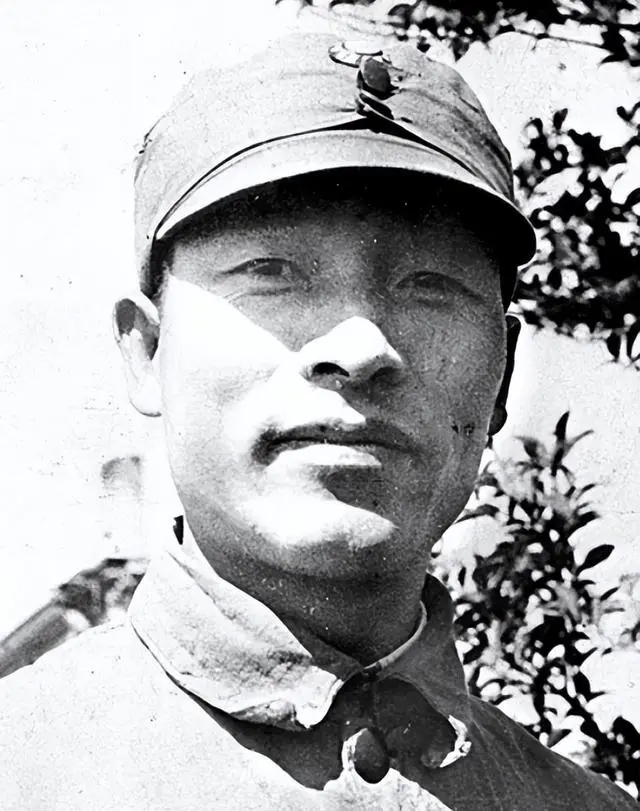 Among the many generals in the four fields, why was Tan Youlin only ...