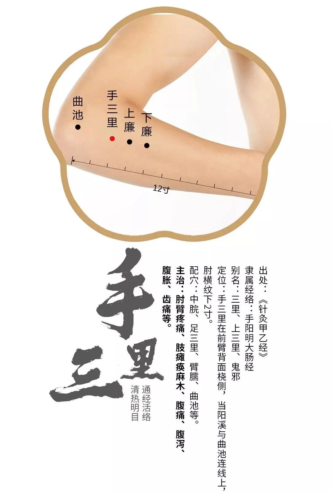 Magical Hand Sanli Point, acupuncture point for shoulder, back, waist ...