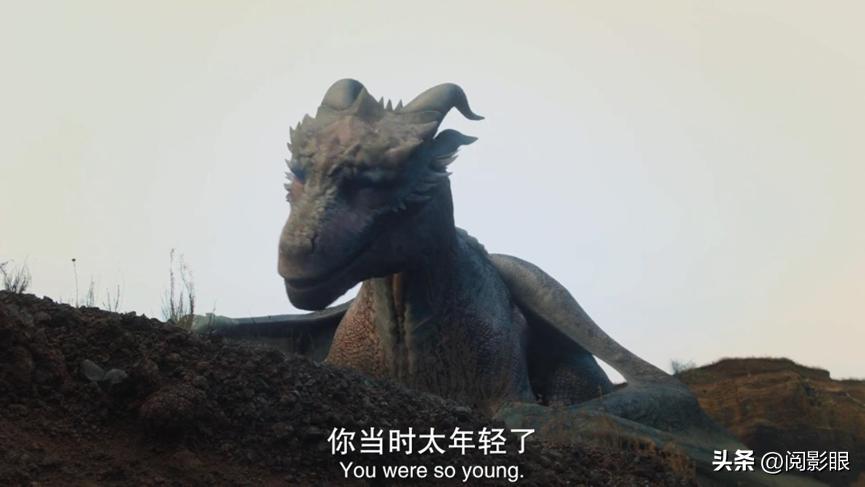 Movie - Heart of the Dragon: Deadly Vengeance - iMedia