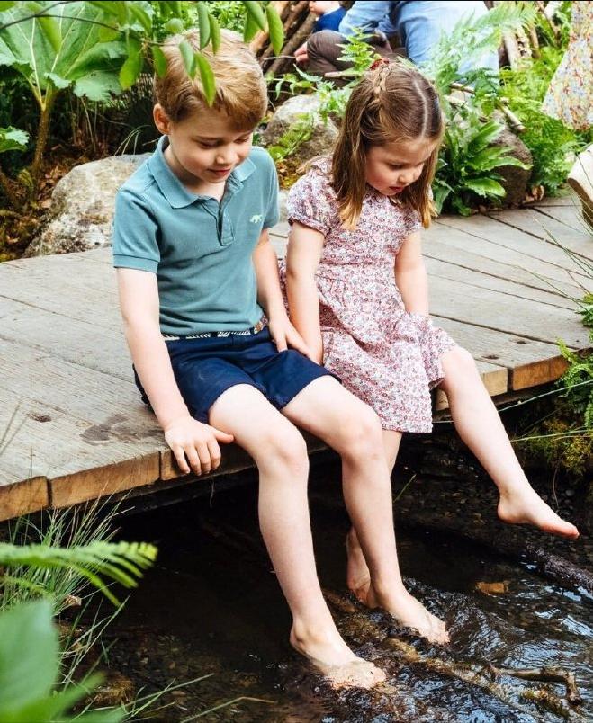 Adult royal siblings! Prince George is handsome and charming, Princess ...