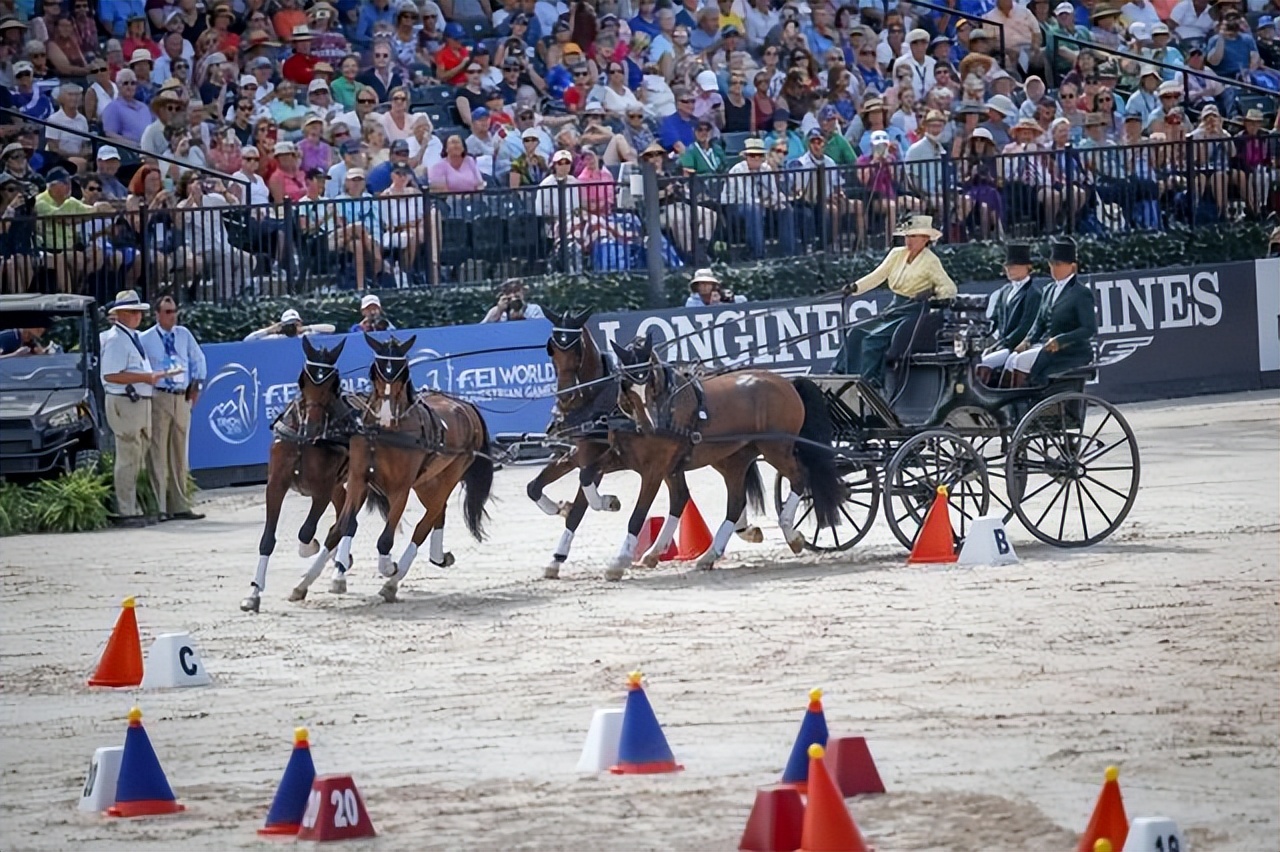 Chariot Races in Ancient Rome in the Sixteenth Century: Public ...