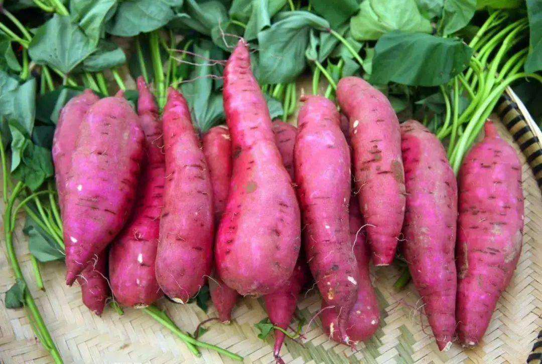 Authentic Chinese style, the sense of ritual in winter is to eat Heyang ...