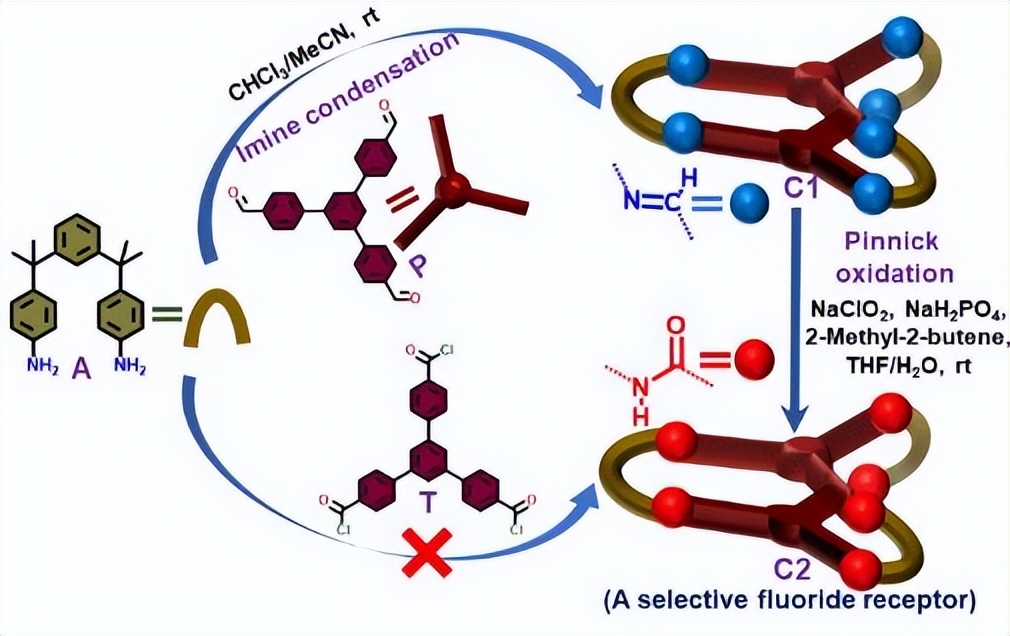 New breakthrough in imine chemistry: transforming unstable imine cages ...