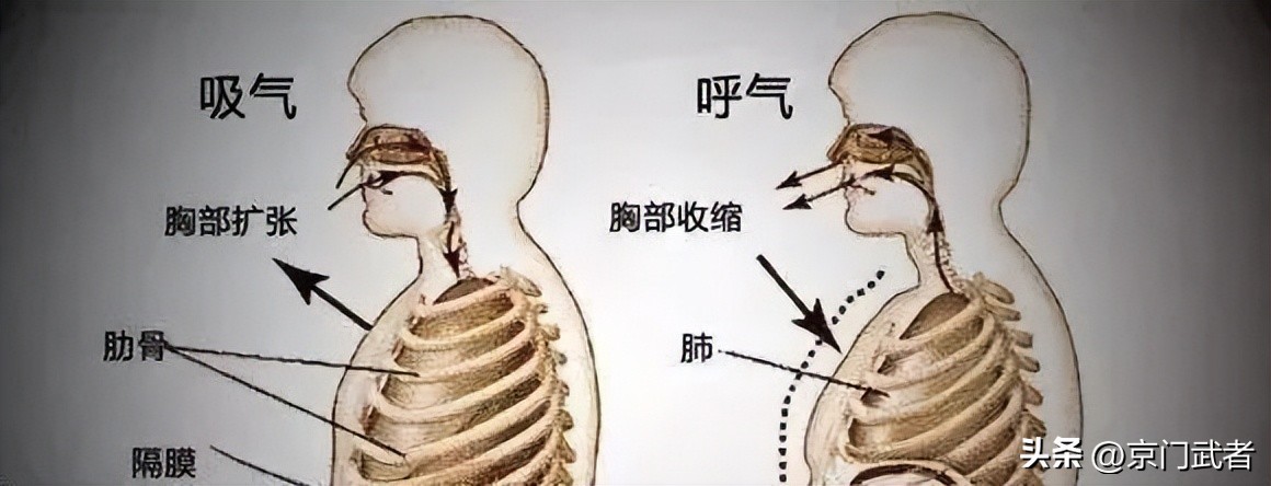 Neijiaquan training must know the inner qi - iNEWS