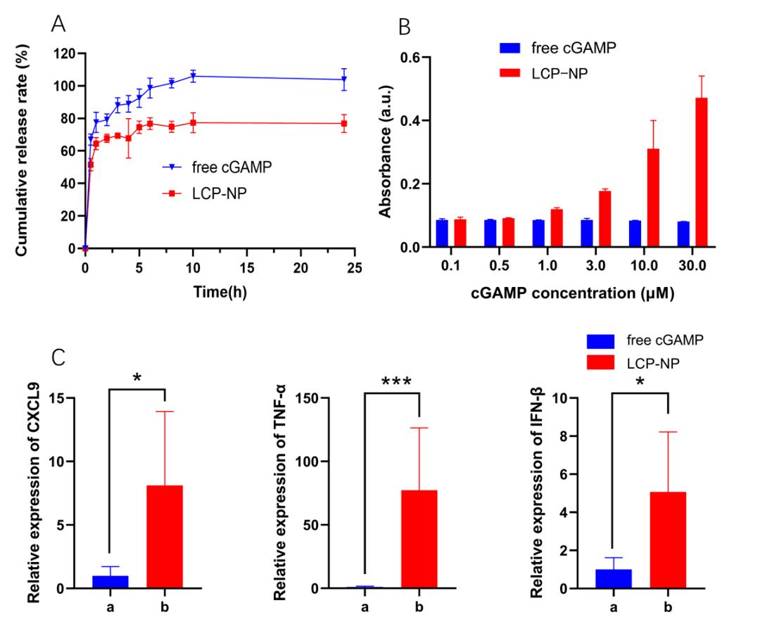 Lipid calcium phosphate nanoparticles deliver STING agonists for neural ...