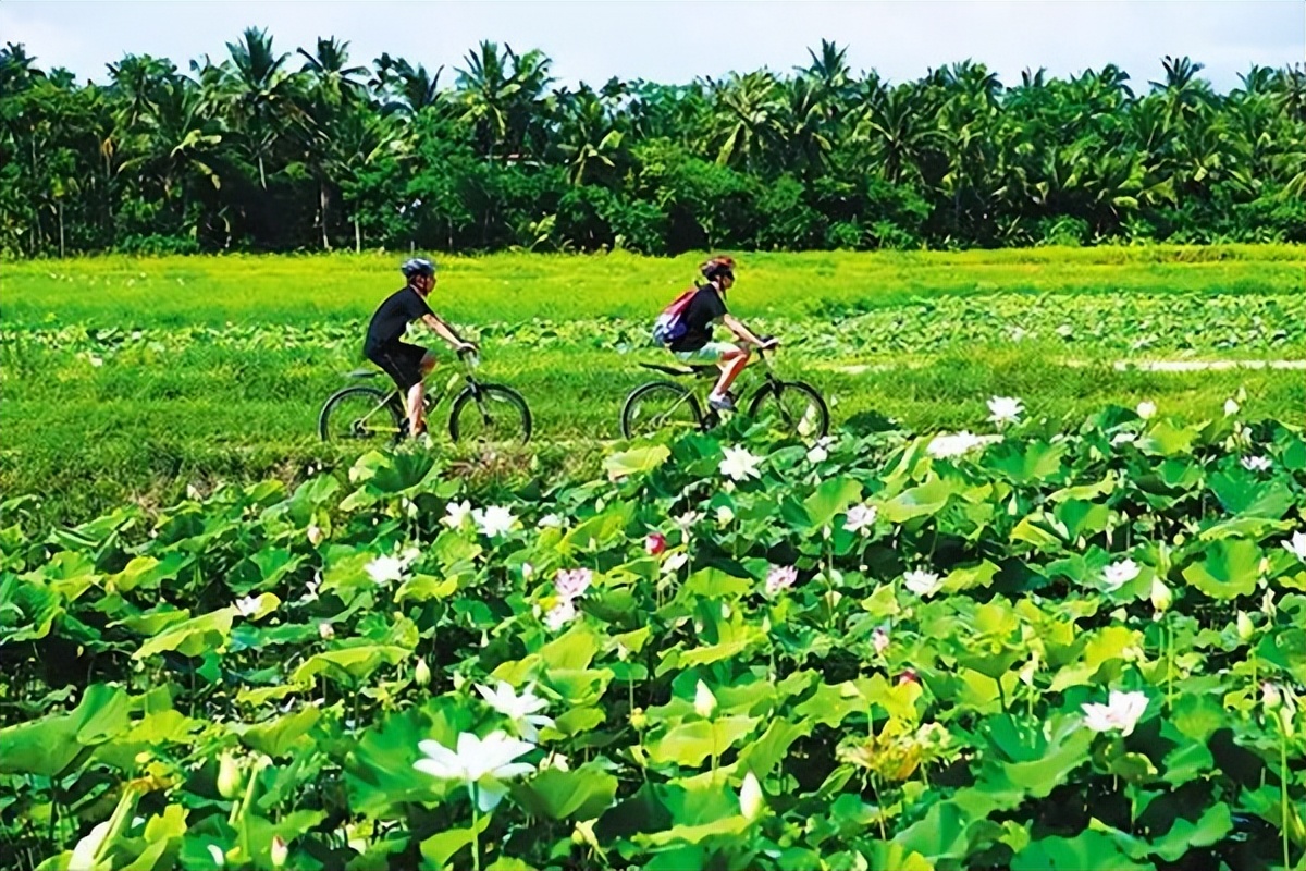 Four principles of scenic spot planning: adapt measures to local ...