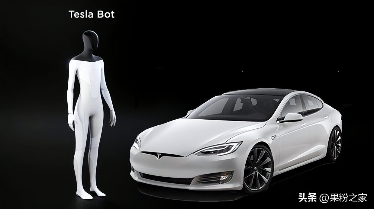 Tesla robots will be used to take care of the elderly: cooking, feeding ...