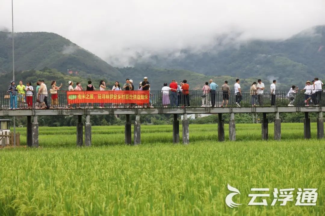 Greater Bay Area tourists take Wangluoding village tour - iNEWS