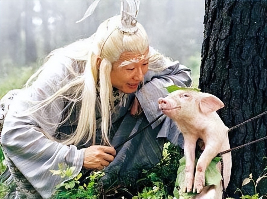 Sun Xing, from Taibaijinxing to Yang Xiao, played every role well, but ...